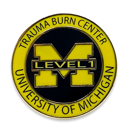 Cloisonné Lapel Pins – AEF Emblem