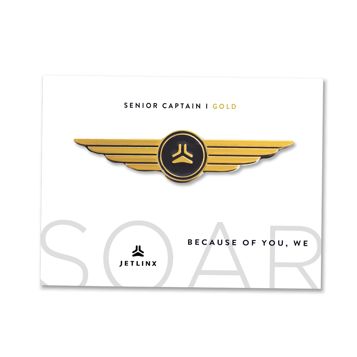 Backer Cards – AEF Emblem