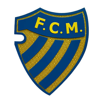 TPU Patches – AEF Emblem